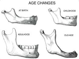 MANDIBLE DEVELOPMENT AND AGE CHANGES True Value Dental Institute MANDIBLE DEVELOPMENT AND AGE CHANGES True Value Dental Institute